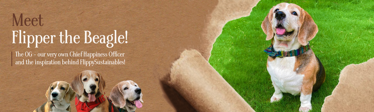 FlippySustainables
